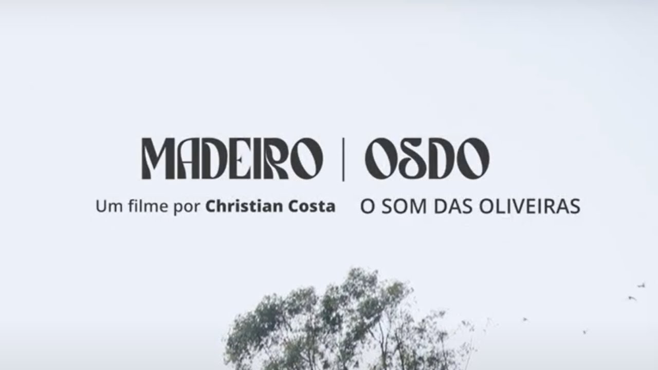 MADEIRO Vídeo Clipe Oficial - OSDO - YouTube