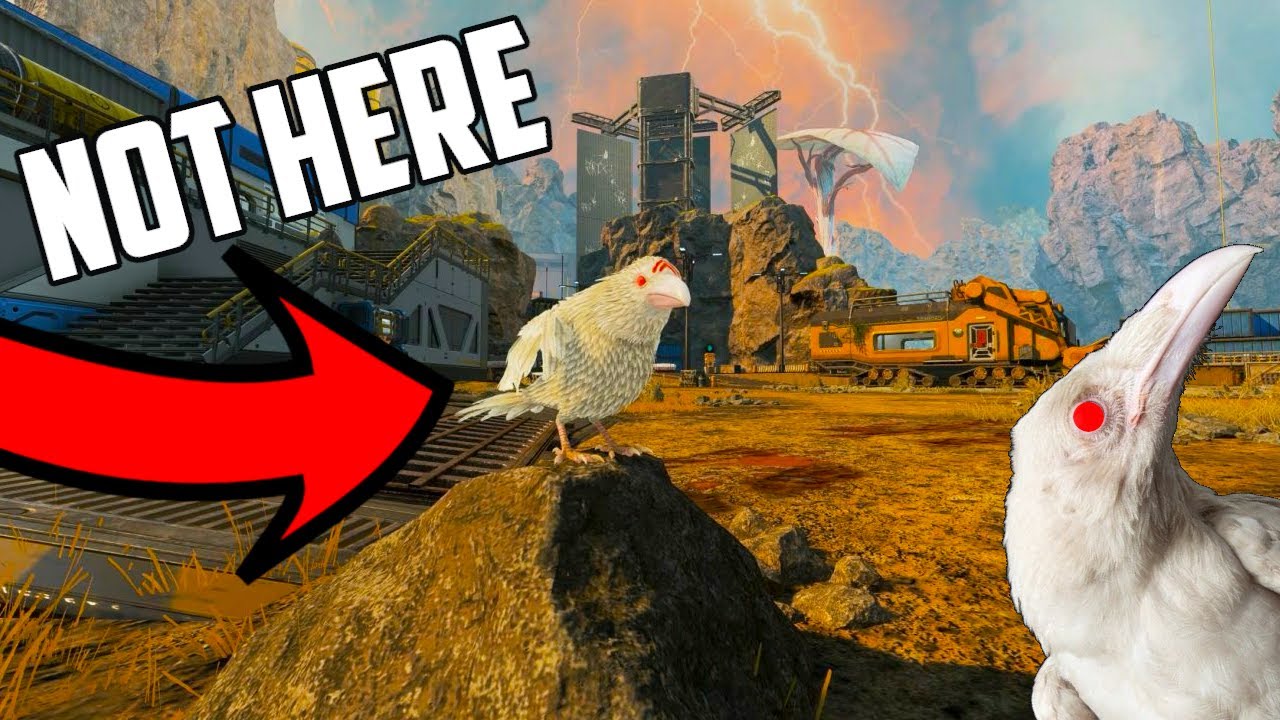 Where To Find The White Raven In Apex Legends - YouTube