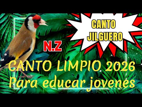 CD CANTO LIMPIO JILGUERO  2026 Para (Educar jovenes) para descargar