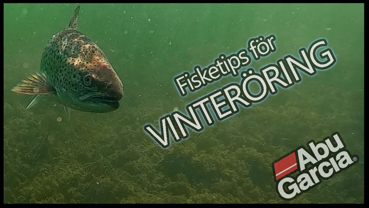 7 tips för VINTER-ÖRING - YouTube