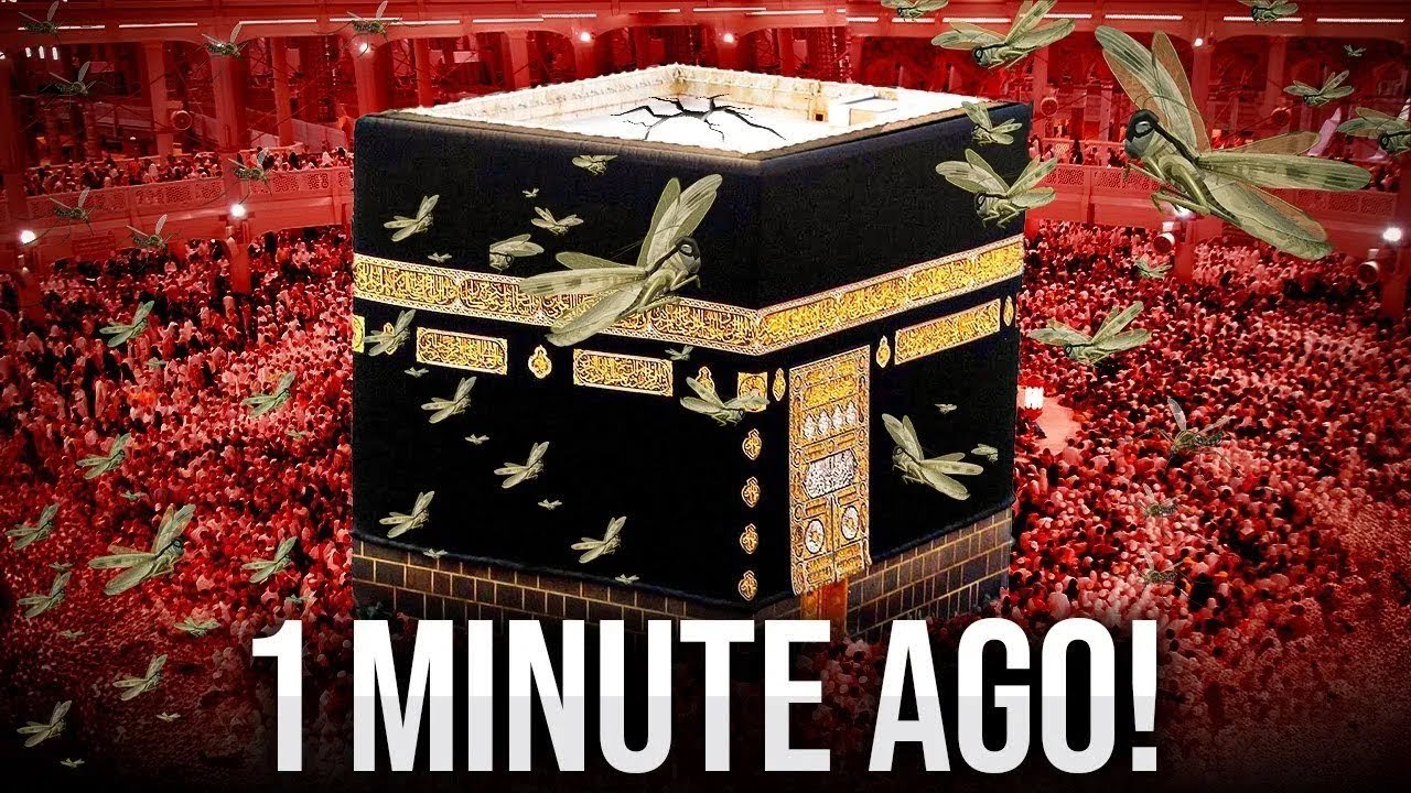 Strange INSECTS Invade Kaaba In Mecca And Scare Muslims! - YouTube