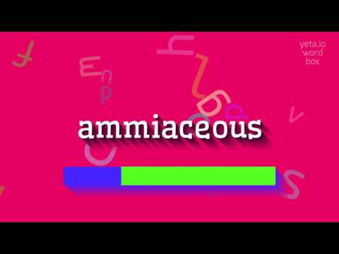 AMMIACEOUS - NASIL OKUNUYORUZ?  #ammiyalı (AMMIACEOUS - HOW TO PRONOUNCE IT? #ammiace