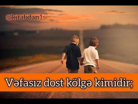 M. Beyləqani - Vəfasız dost
