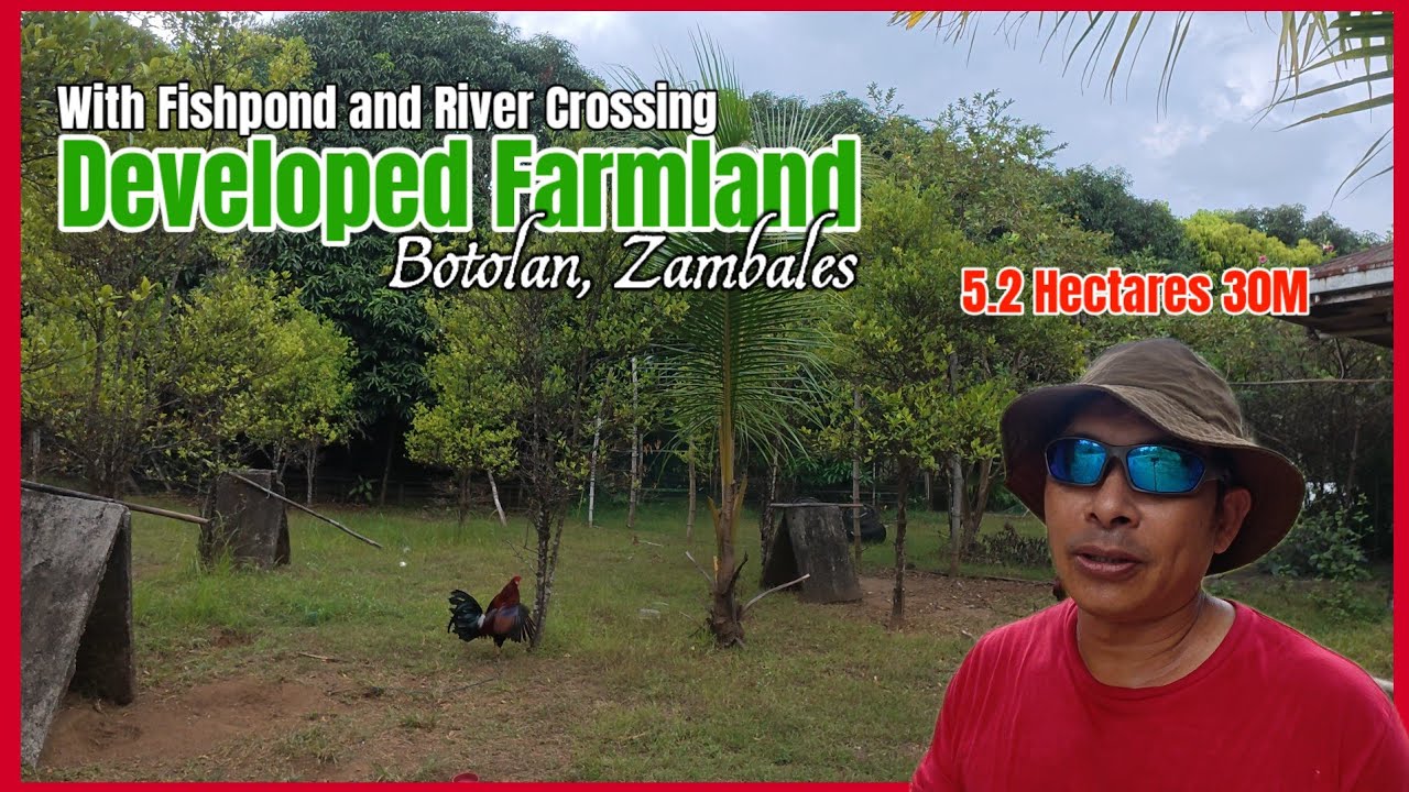 5.2 Hectares Farmland with River Crossing - YouTube