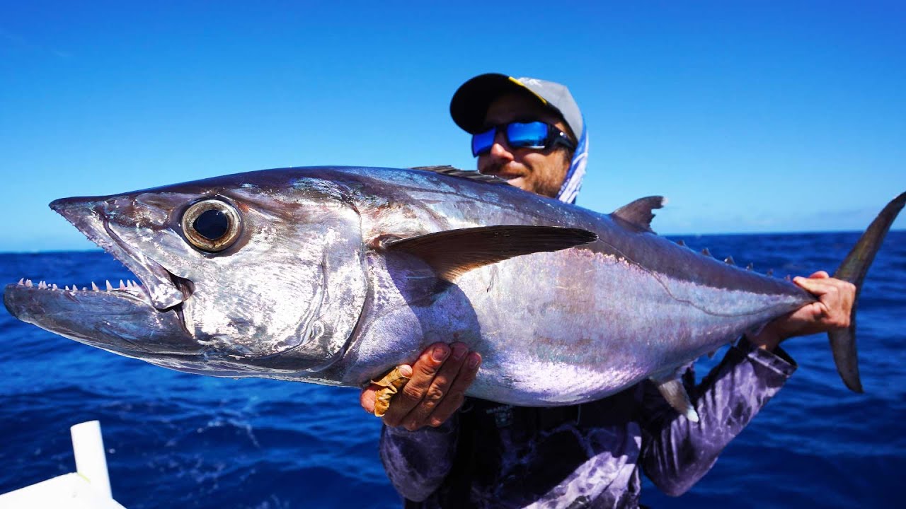 We Finally Get a Dogtooth Tuna at Kenn Reef - YouTube