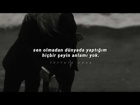 frank sinatra - my way of life | türkçe çeviri.