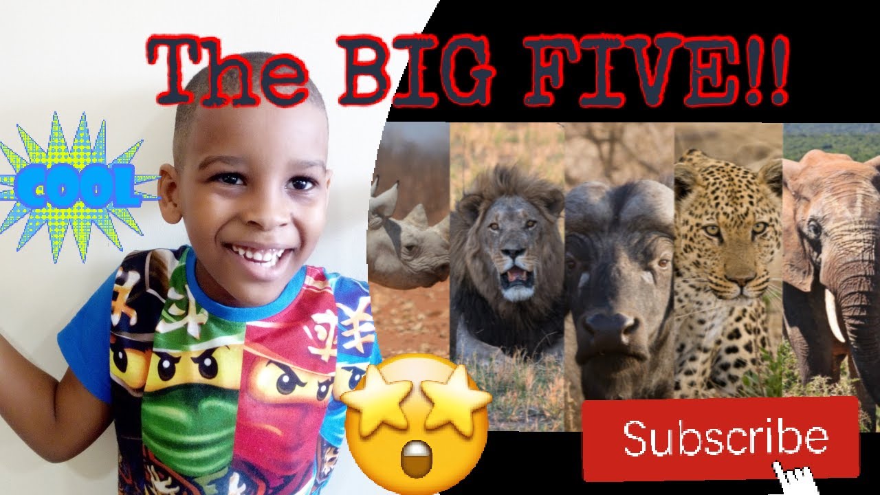 Learn FUN FACTS about Africa's BIG FIVE with Dylan! - YouTube