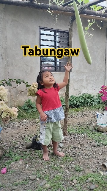 tabungaw /upo - YouTube