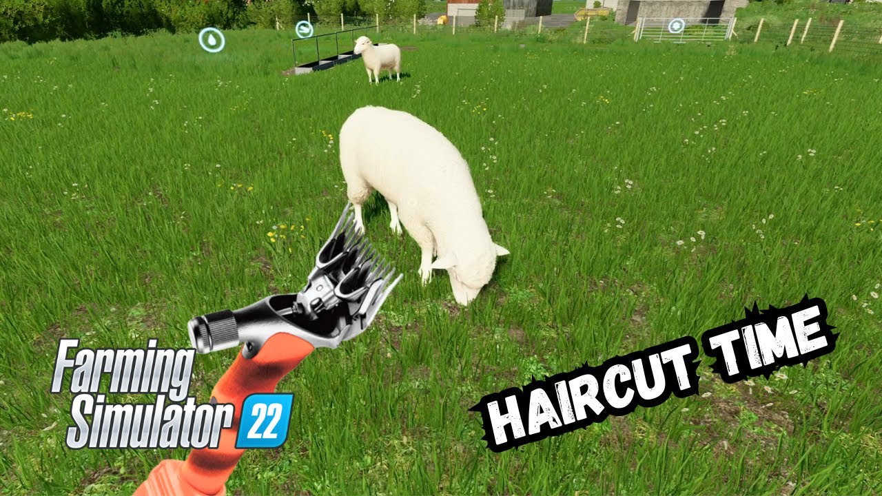 Court Farm #1 Haircut Time - Farming Simulator 22 XBOX - YouTube