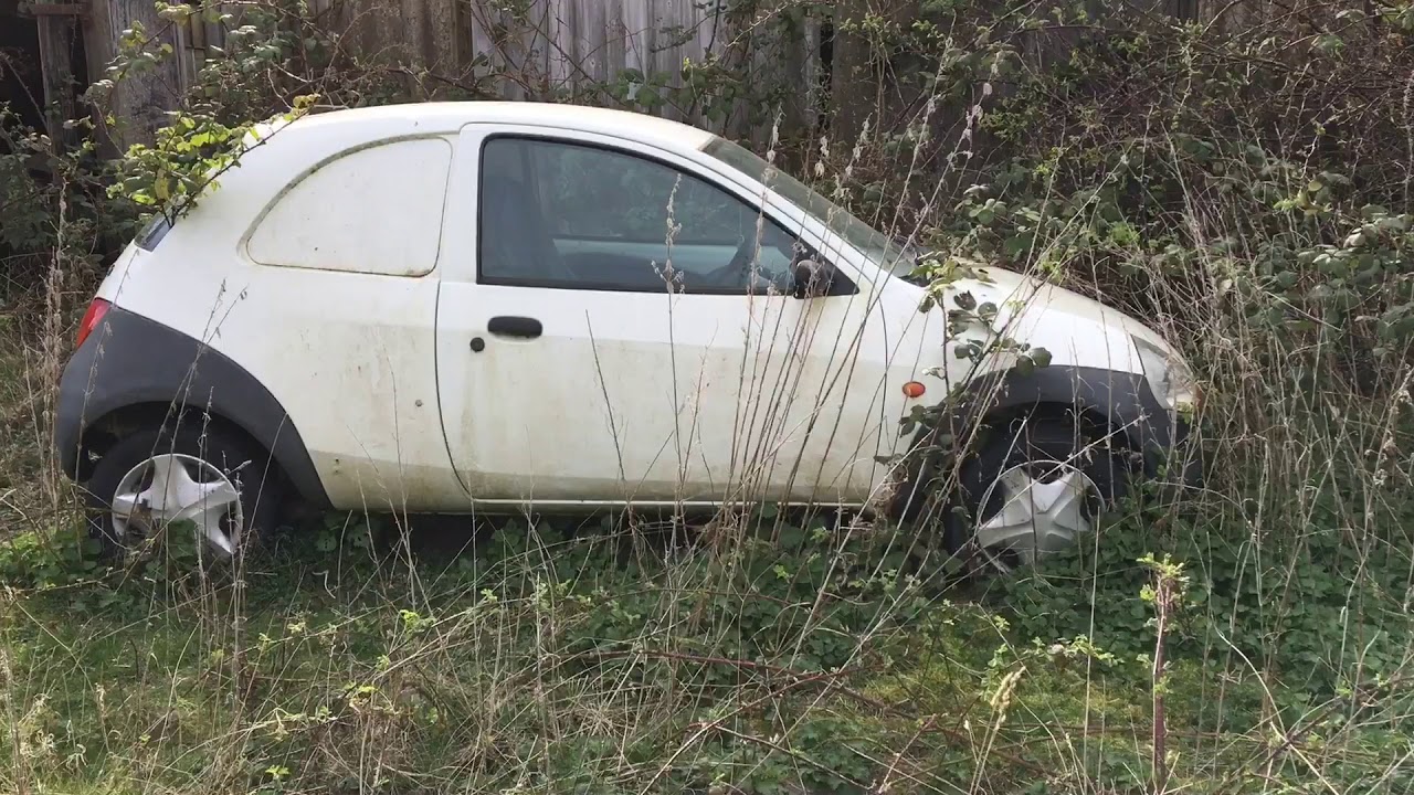 Abandoned car find, Ford Ka van walk round, not barn find but a field ...
