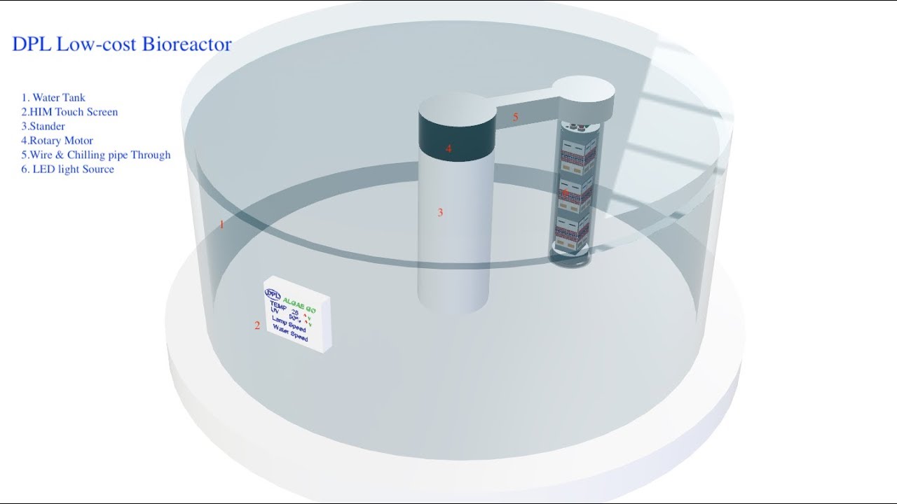 High Productivity bioreactor for microalgae - YouTube