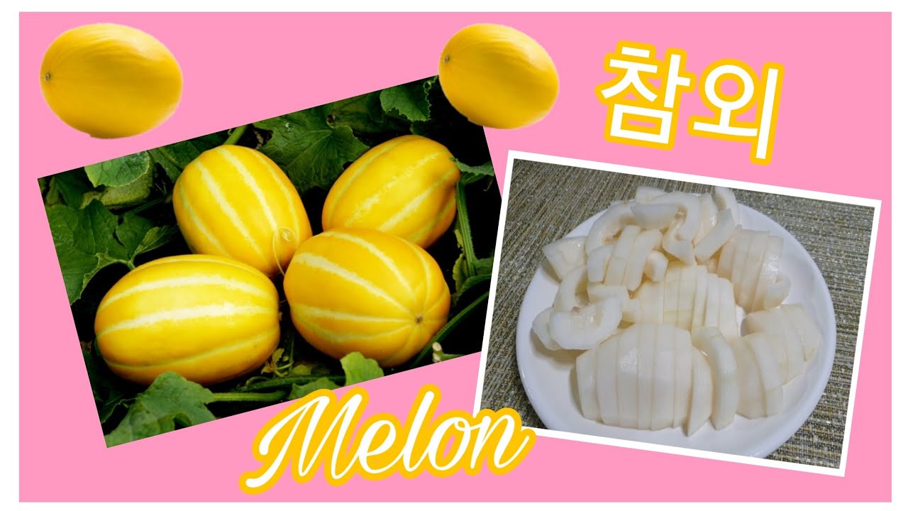 Korean Melon/ cham-oe /Alma Balicat - YouTube