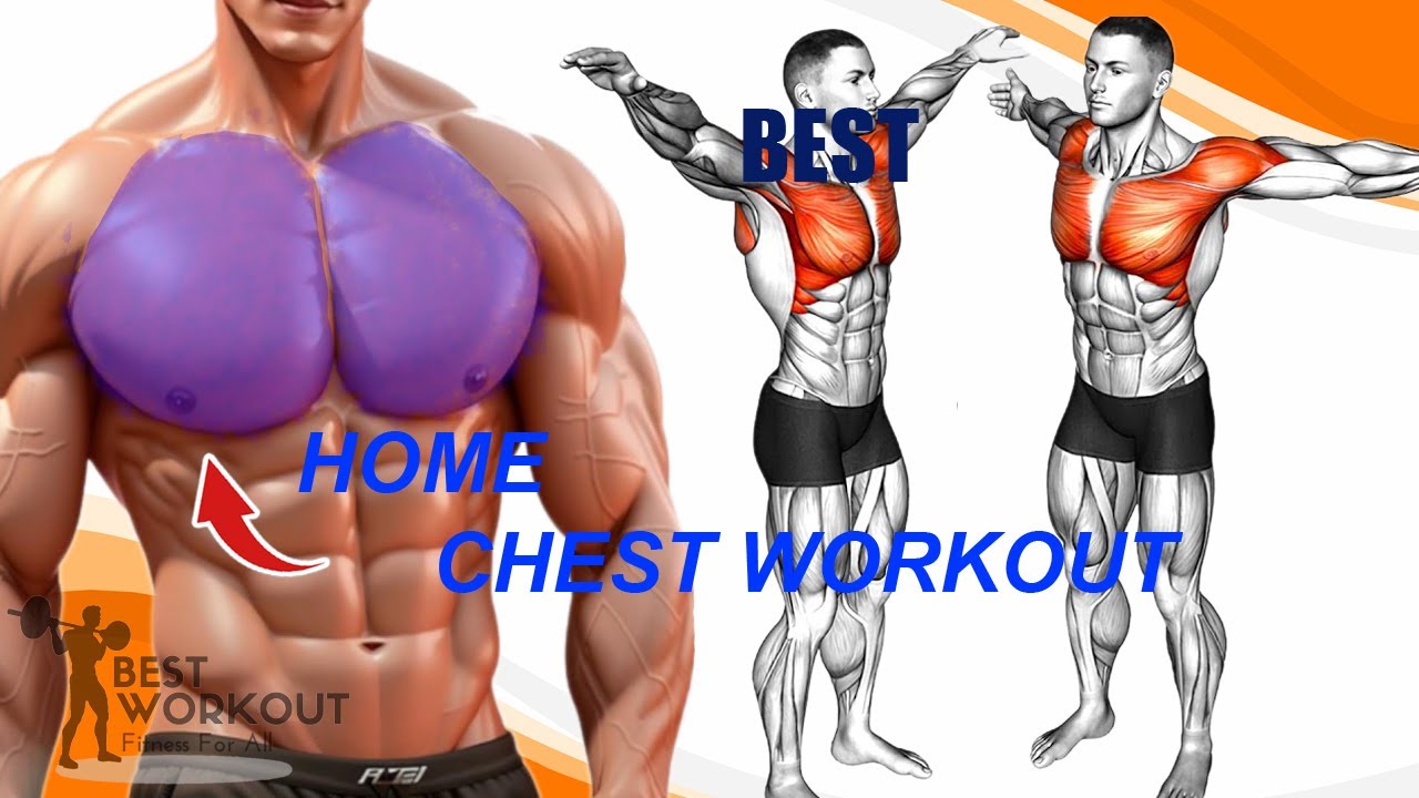 Beginner Chest Workout at Home | Build Strength - YouTube