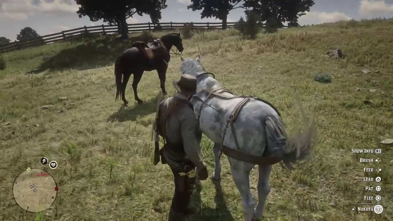 Nick Ball Plays Live: Red Dead Redemption 2 - YouTube