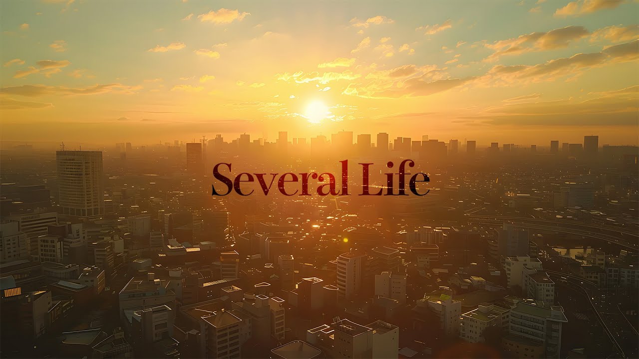 Life is Multiverse - Several Life (Lyrics video) - YouTube