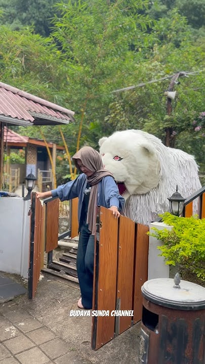 Cewek Cantik Masukin Can Macanan Ke Dalam Kandang!!! - YouTube