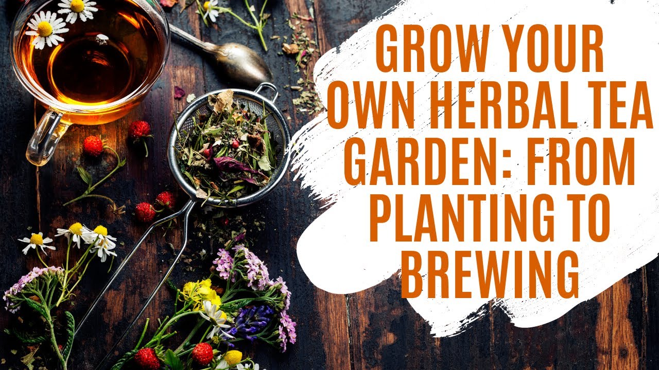 Grow Your Own Herbal Tea Garden: From Planting to Brewing | Urban ...