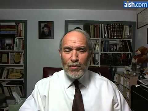 A Book for Elliot Spitzer - Salomon Says - YouTube