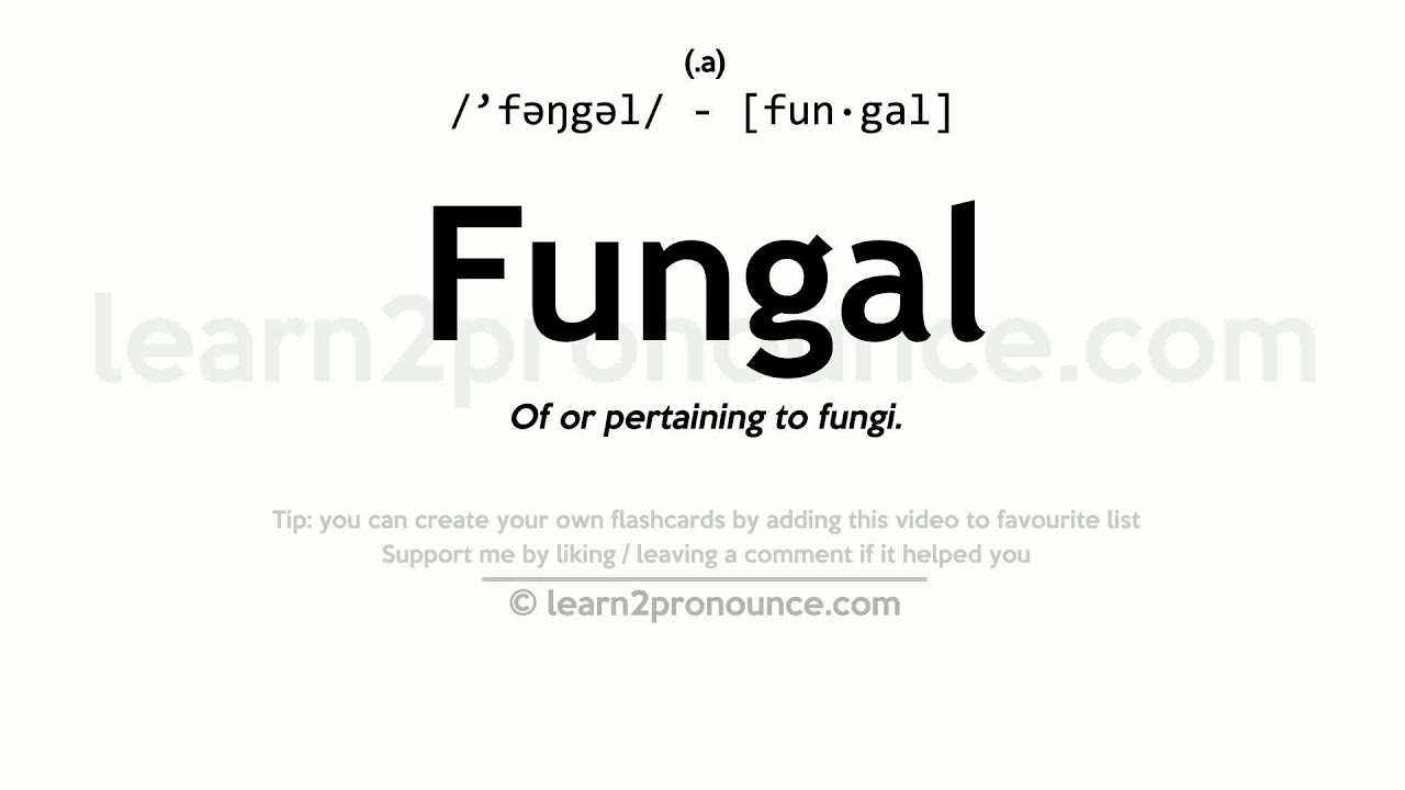 Pronunciation of Fungal | Definition of Fungal - YouTube