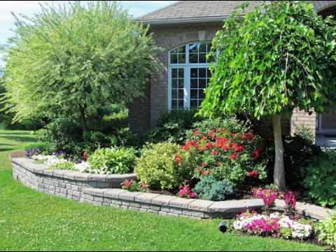 What To Plant On Side Of House With No Sun