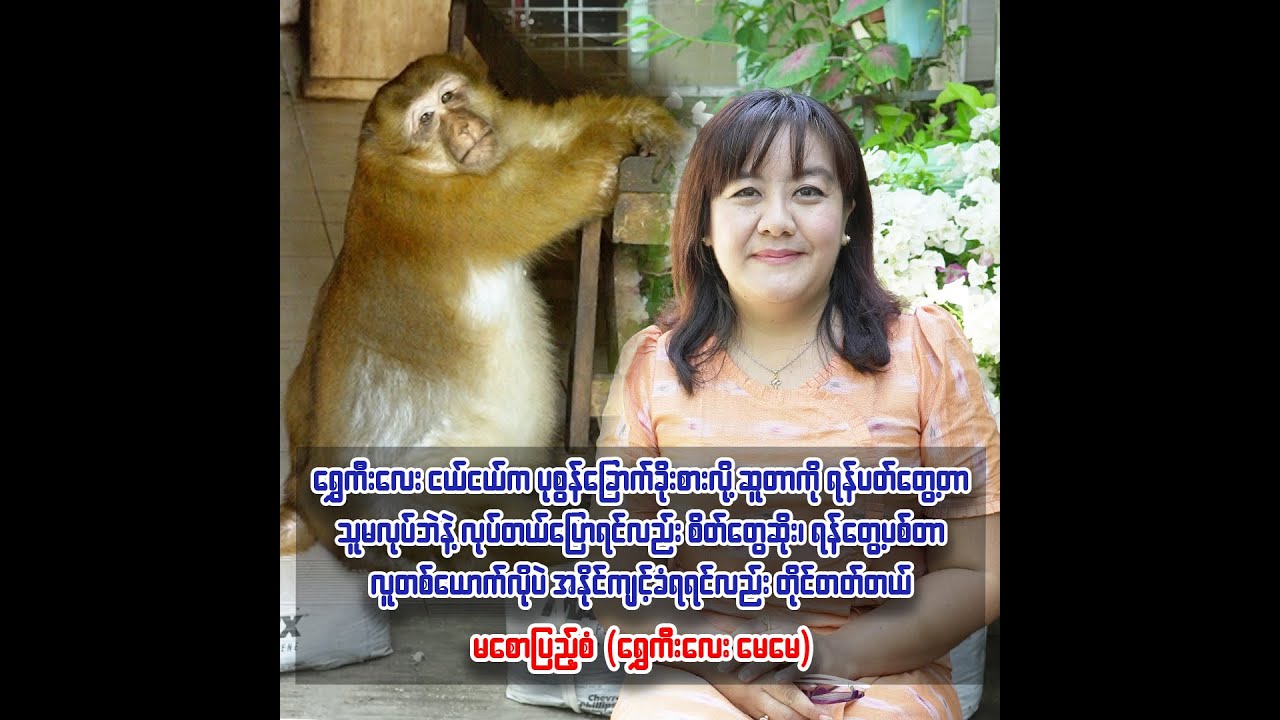 ရွှေကီးက သူ့ကို ခိုးစားတယ်ပြောရင် စိတ်တွေဆိုးပြီး ရန်တွေ ပတ်တွေ့တတ်တယ