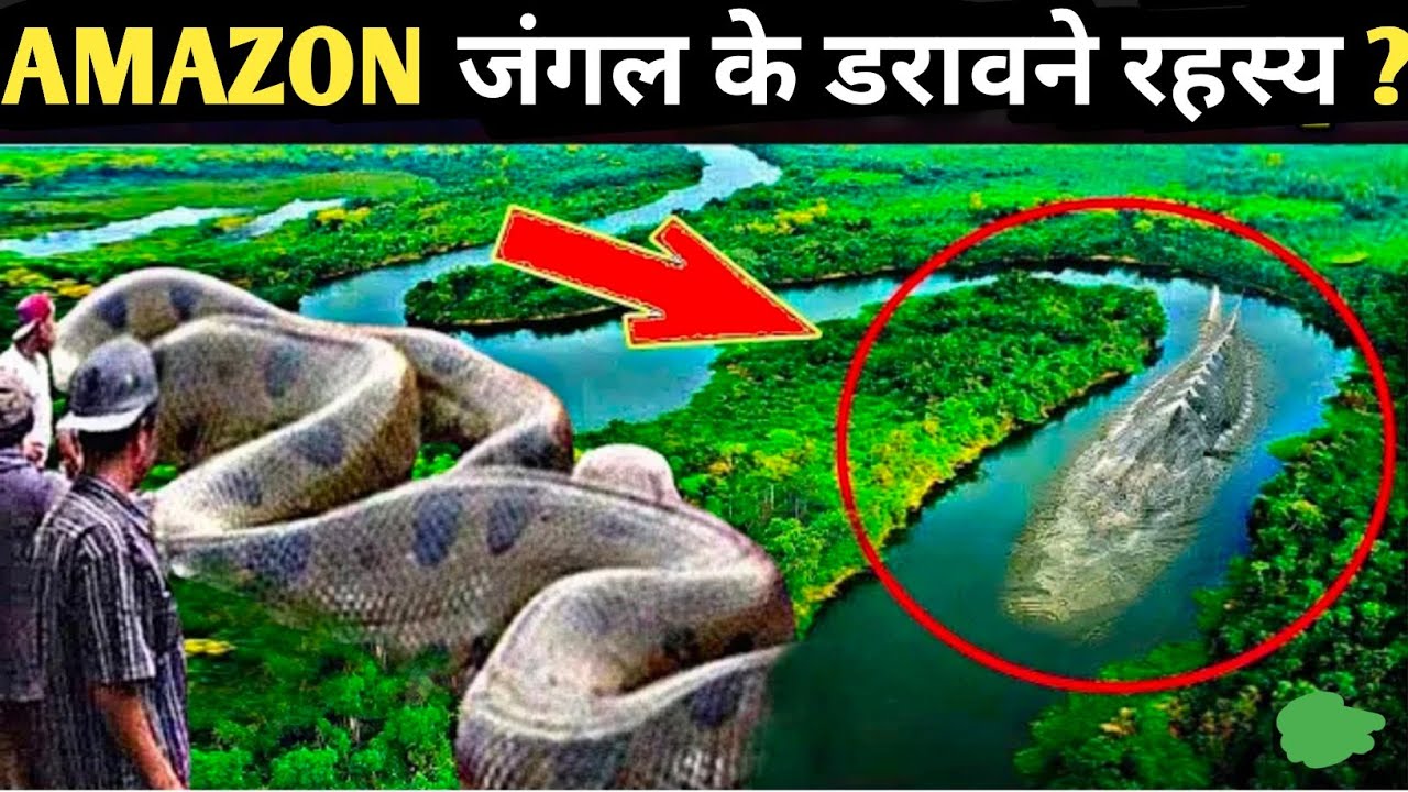 अमेजन जंगल और इसके खतरनाक रहस्य l Secrets of Amazon Rainforest l Amazon ...