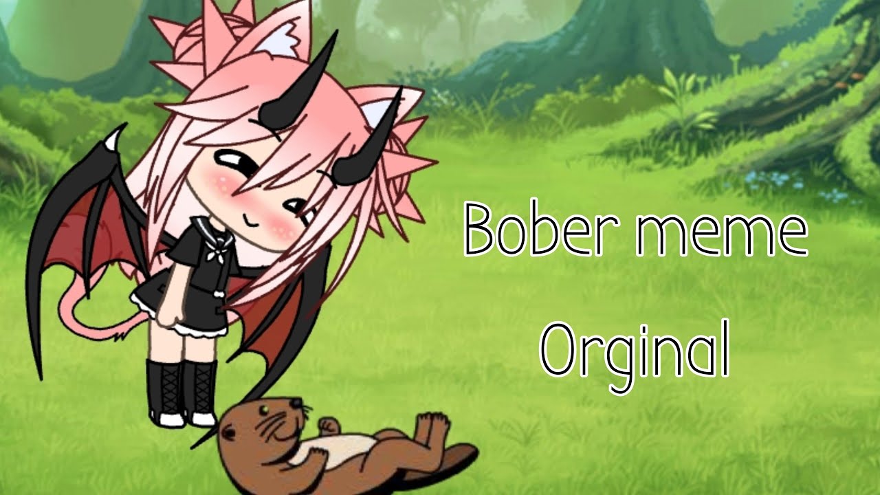 Bober meme - YouTube