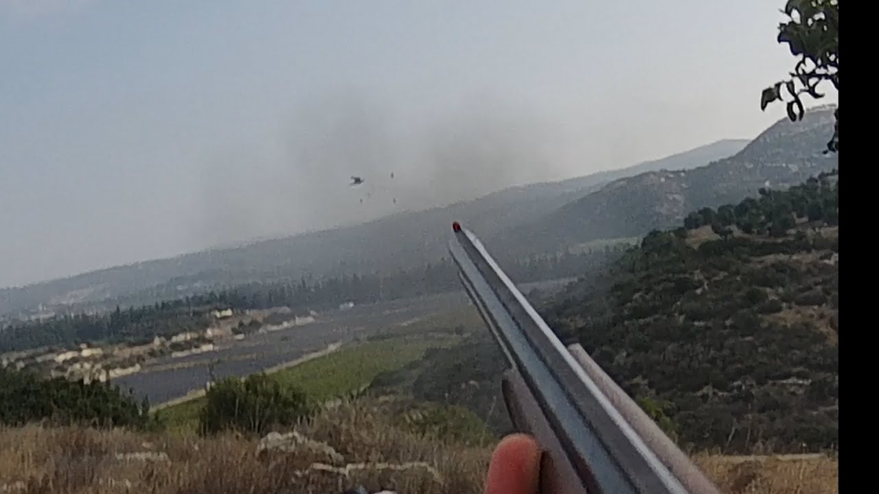 ΚΥΝΗΓΙ ΦΑΣΣΑΣ ΤΡΥΓΟΝΙΟΥ ΑΝΥΠΑΡΚΤΟ ΘΗΡΑΜΑ - YouTube
