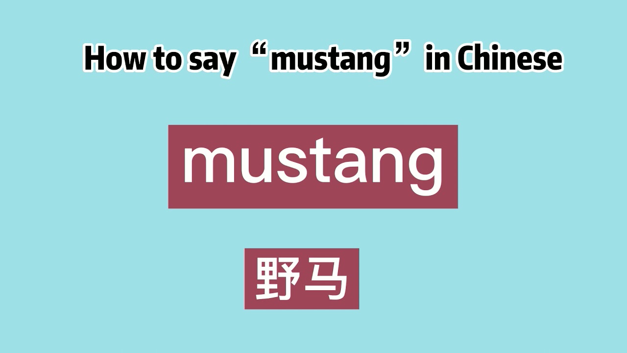 How to say “mustang” in Chinese - YouTube