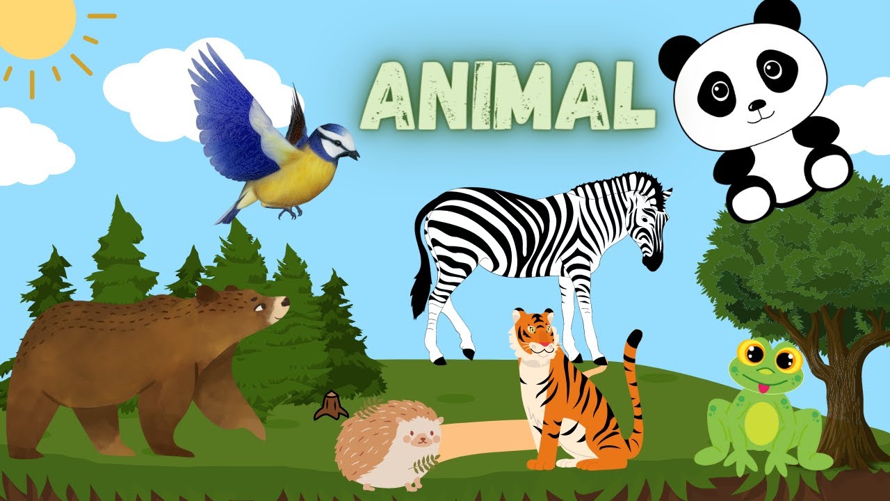 Sounds of kind animals in everyday life and interesting moments with ...