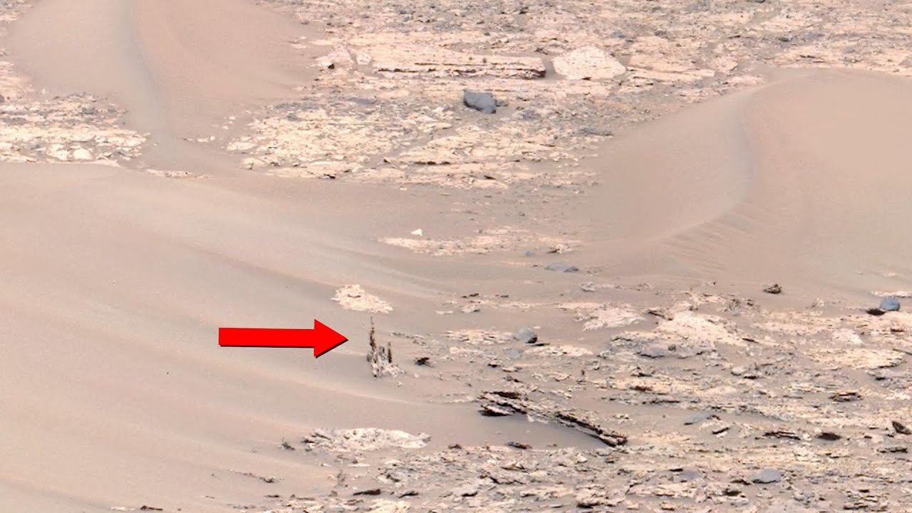 Perseverance Mars Rover Sent Super Incredible Images of MARS in 4K ...