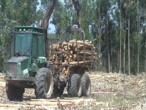 timberjack 1010 rechegando - YouTube