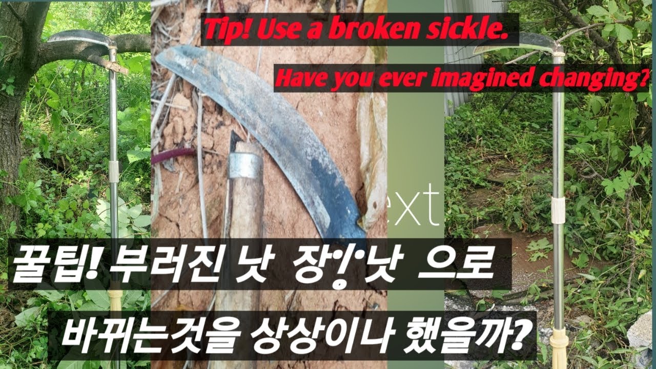#173 #꿀팁! 부러진 낫 장~낫 으로 바뀌는것을 상상이나 했을까? #Tip! Change to broken sickle ...