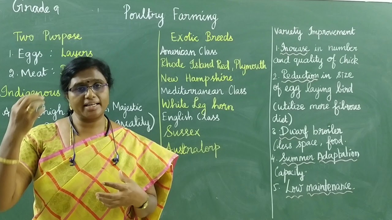 Class 9 Improvement Of Food Resources Poultry Farming - YouTube