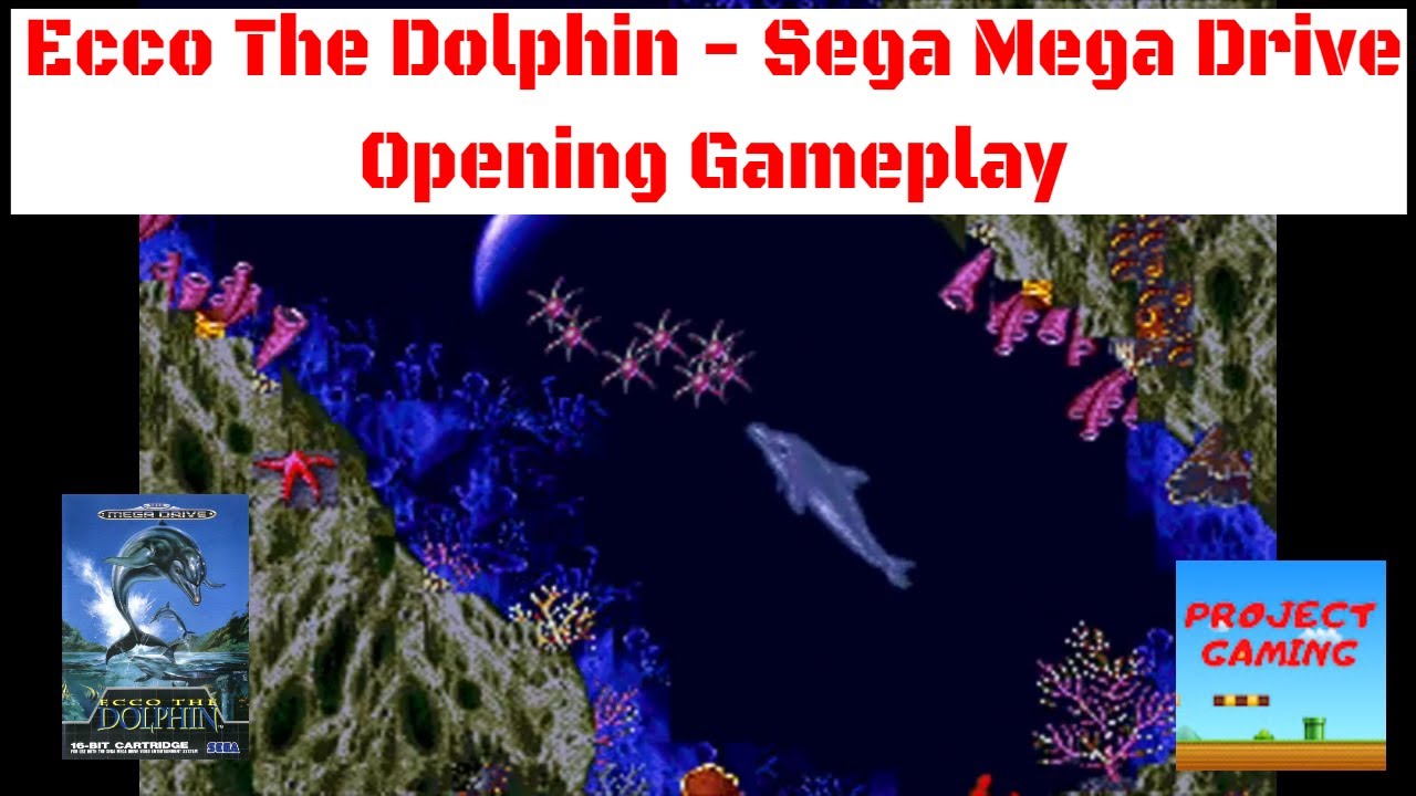 Ecco The Dolphin | Sega Mega Drive | Opening Gameplay - YouTube