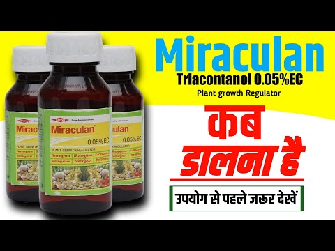 How To Use Miraculan Plant Growth Regulator