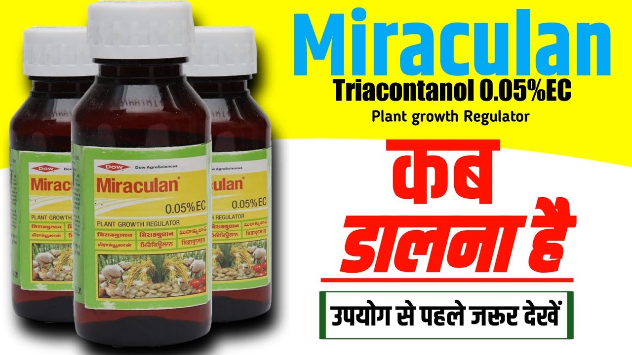 Miraculan Plant growth regulator | Triacontanol 0.05 ec | Dow Miraculan ...