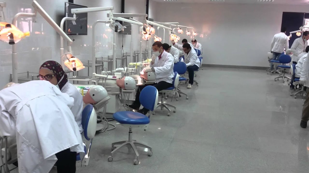 Students of the Faculty of Dentistry during attending a practical ...