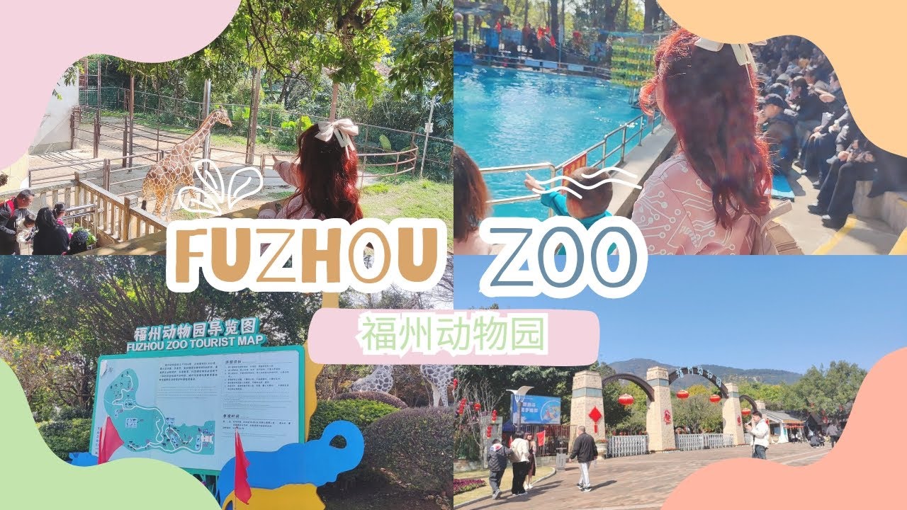 Fuzhou Zoo: Wild and wonderful - YouTube