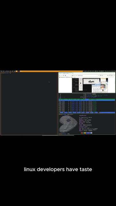 linux developers have taste - YouTube
