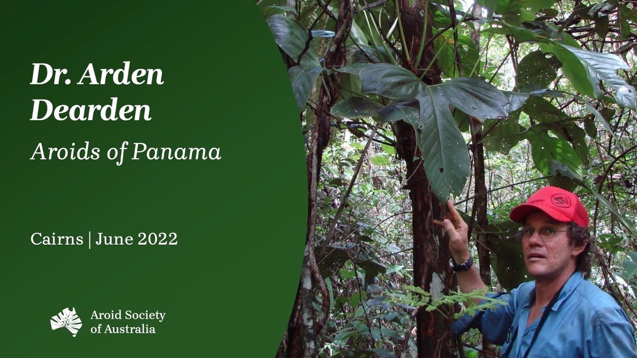 Aroids of Panama - Dr Arden Dearden - Aroid Society of Australia Cairns ...