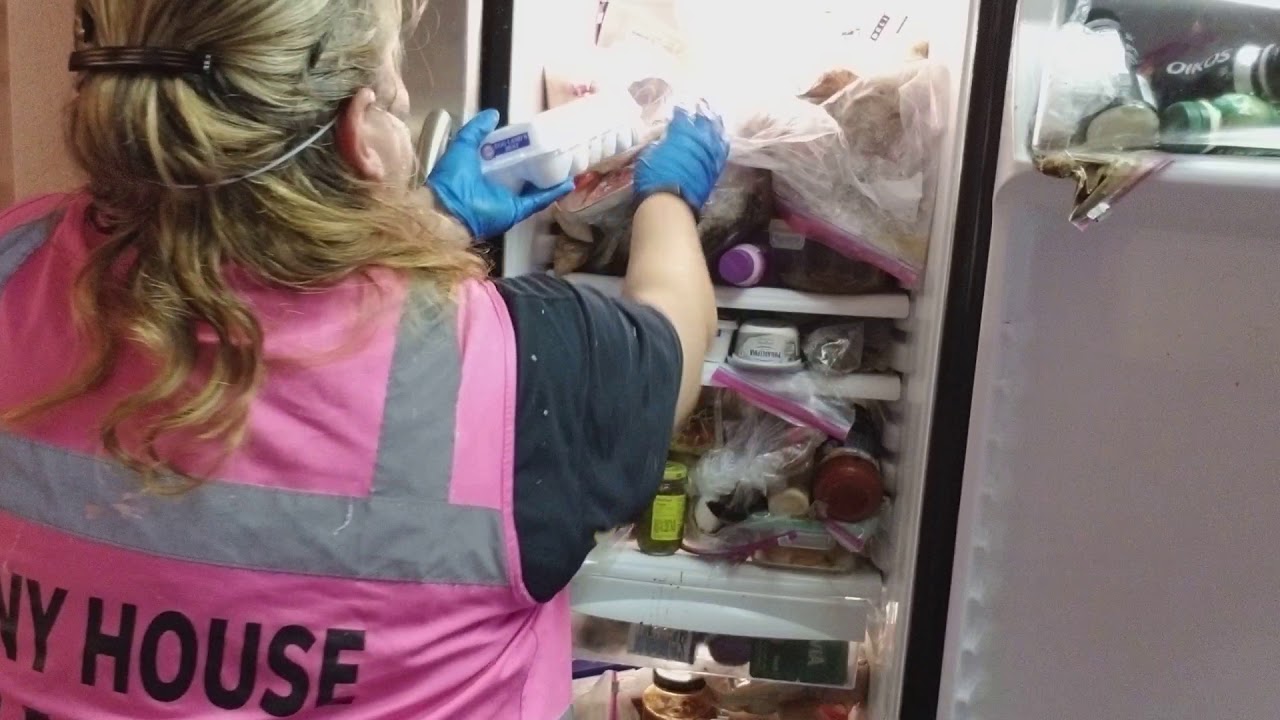 HOARDER! Omg refrigerator with bad smell, flies and ROTTEN FOOD - YouTube