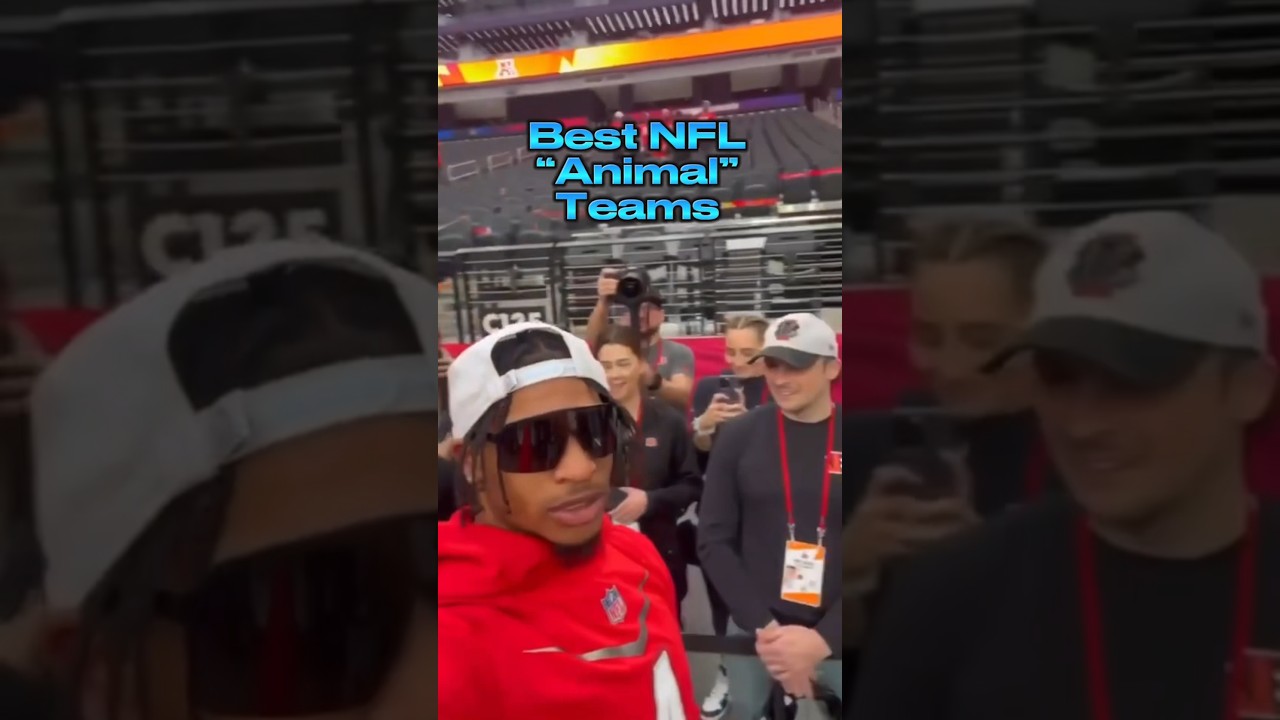 Ranking NFL “Animal” Teams.#nfl #football #jesusislord - YouTube