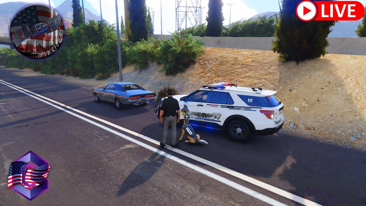 Everyday Heroes Roleplay Live🔴| K9 Duties | FiveM | GTA 5 - YouTube