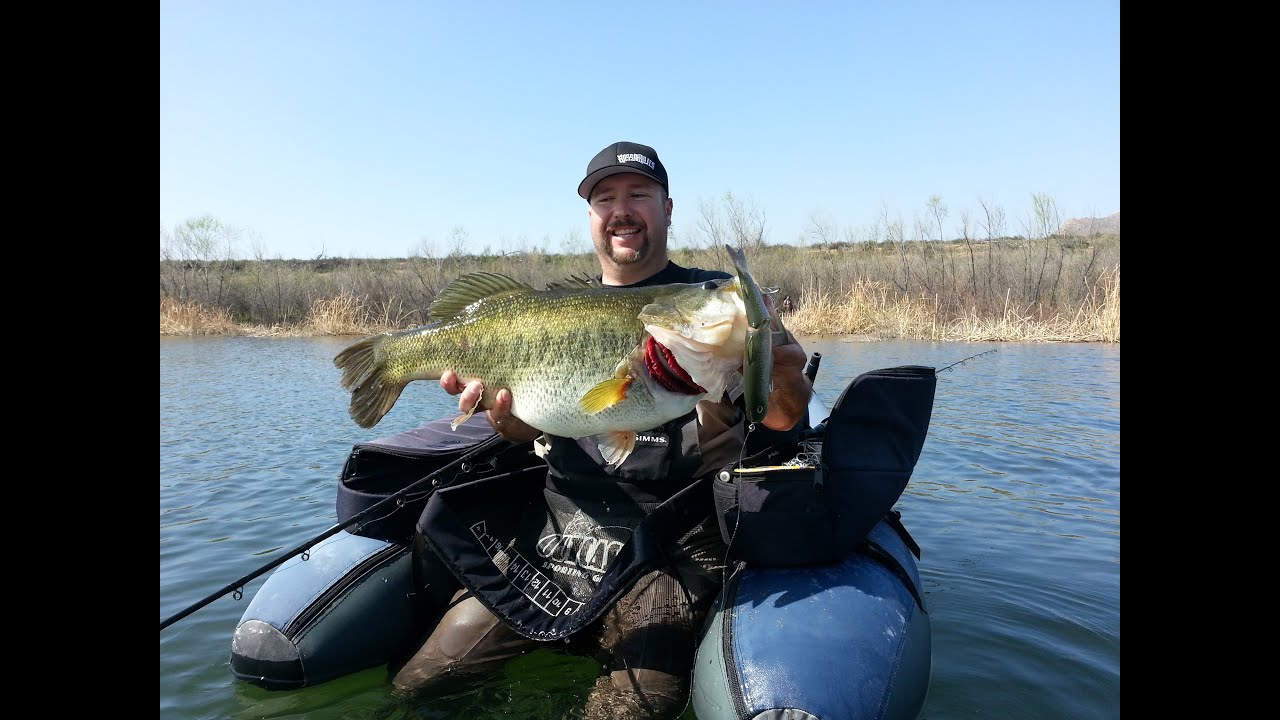 14lb 6oz Largemouth Bass caught on a Deps Slide Swimmer 250 from the ...