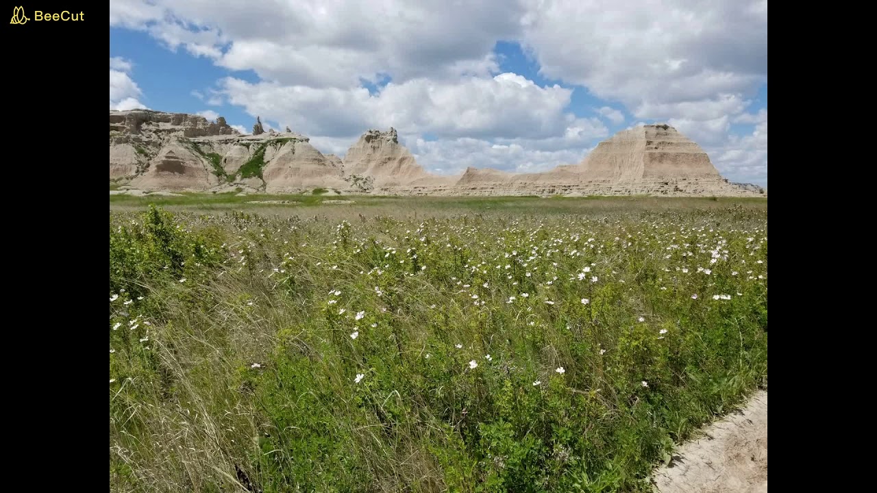 Joshua Eidson - Murderous Ah Yeah - YouTube