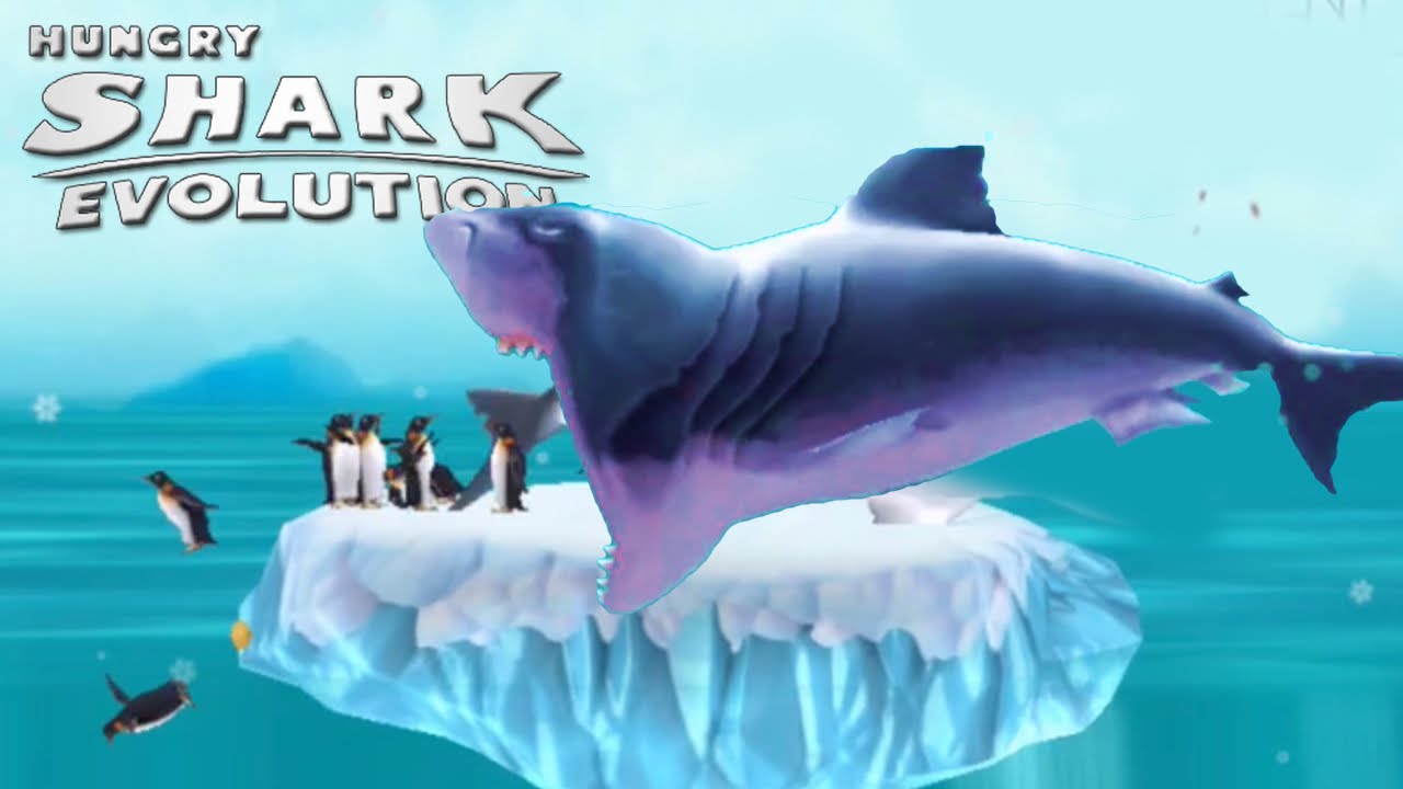 Great White Shark Vs Penguin The Shark And The Penguin: The Unlikely