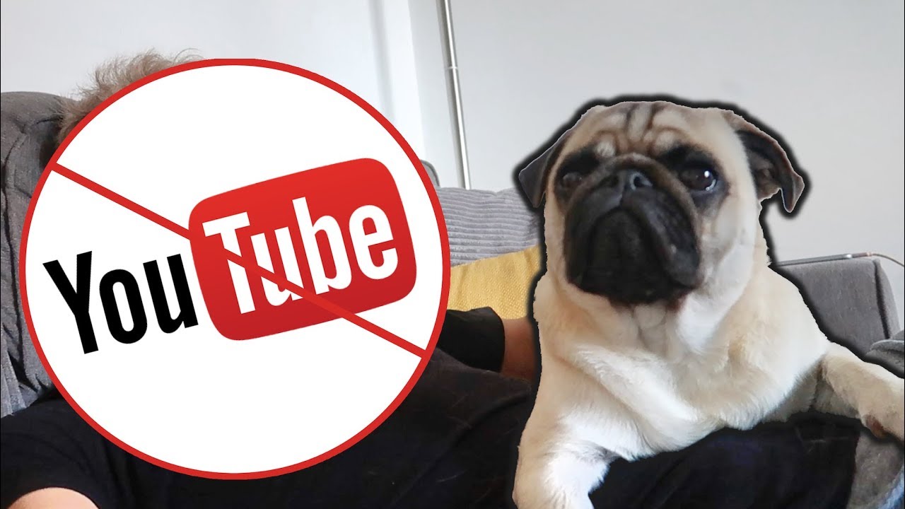 We're taking a short break from YouTube .. - YouTube