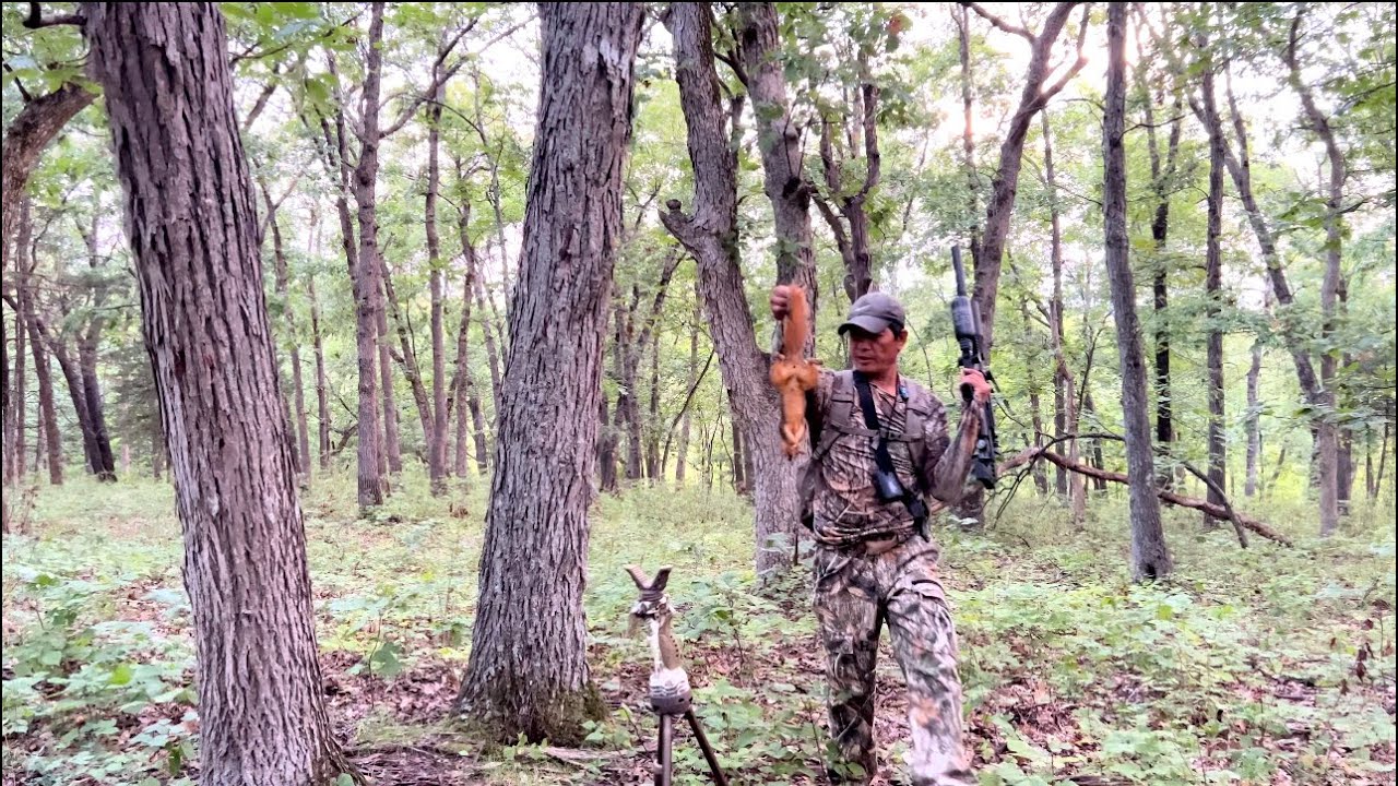 FX Panthera .22 500mm / Impact M3 .22 squirrels hunting with JSB and ...