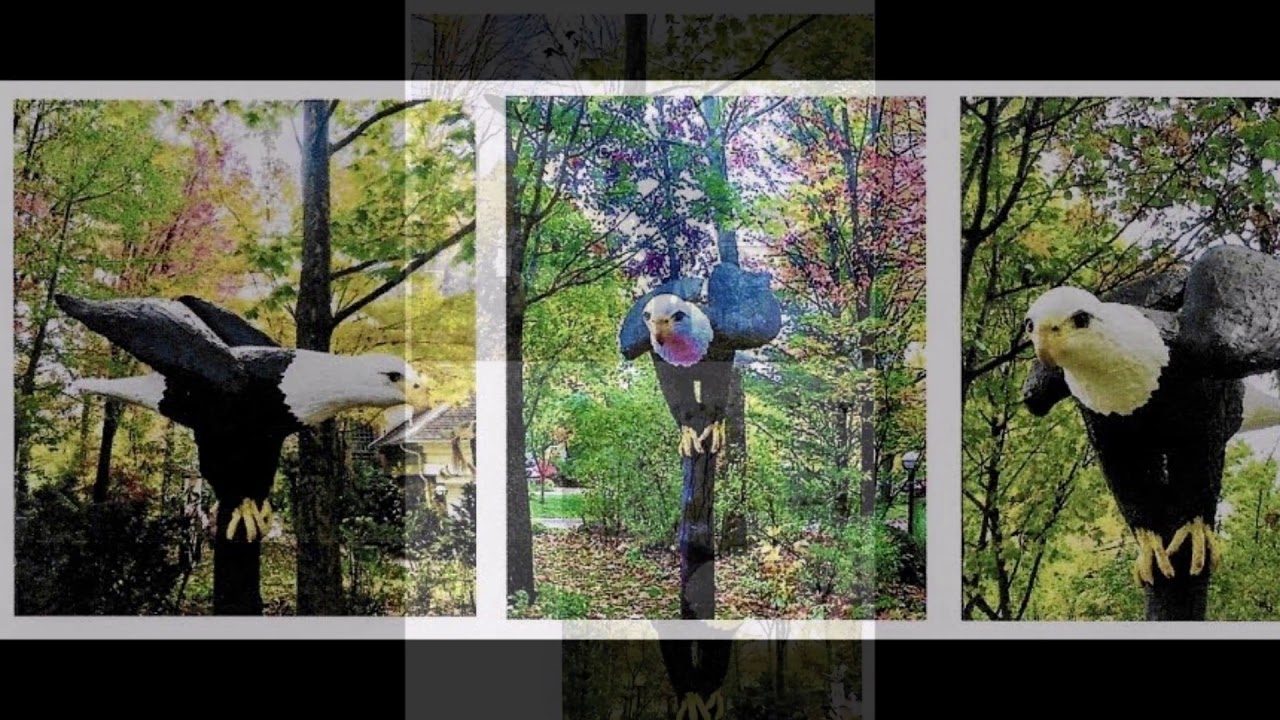 2020-11-23 Congratulations to Dr. Samuel Shee's most recent masterpiece ...